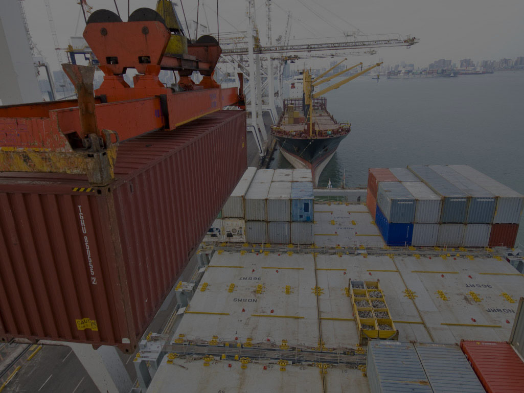 ZLO Terminal - Forecast® by Tideworks